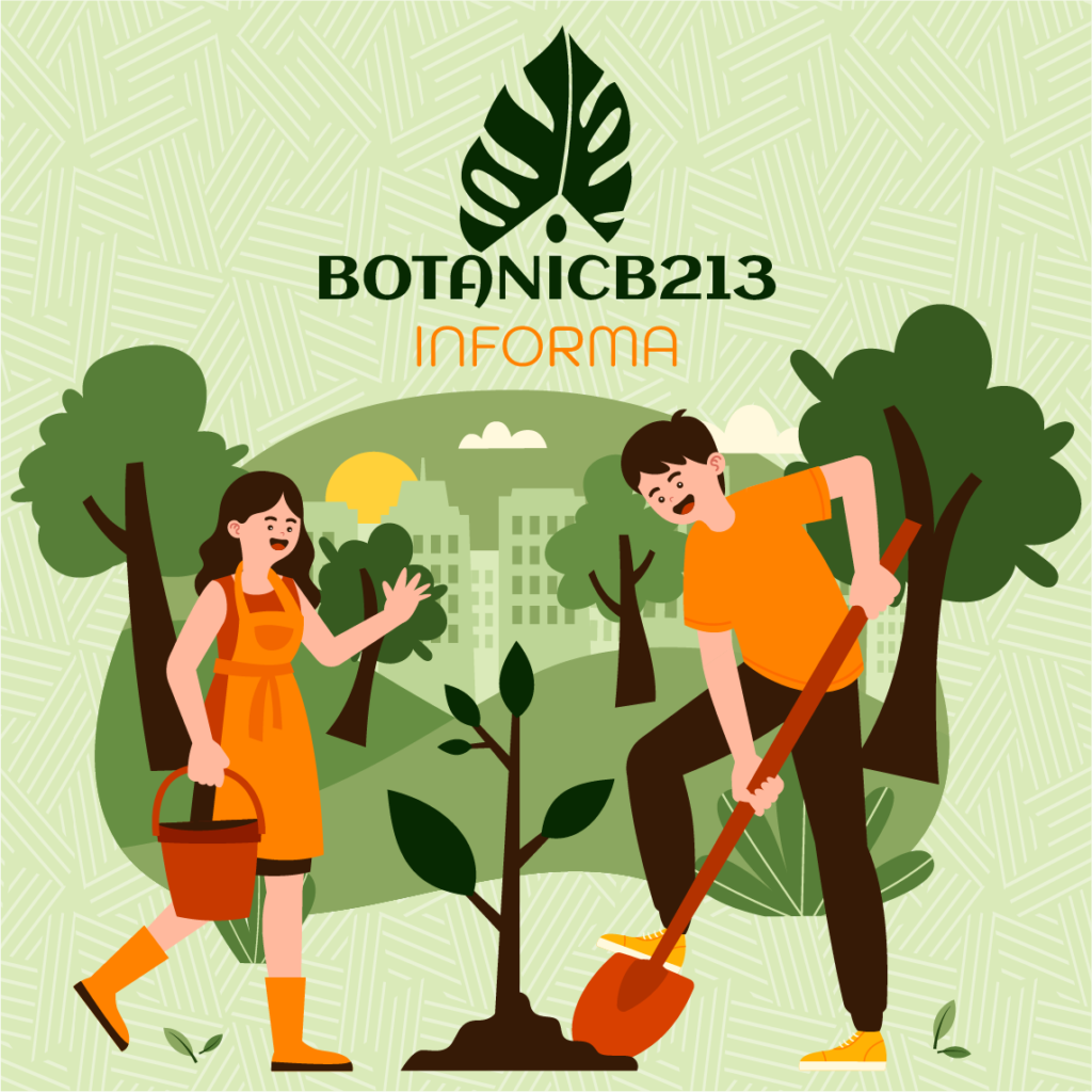 PAEC-PEC – CBTis 213